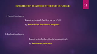 Classification of microorganisms | PPTX