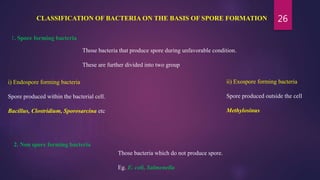 Classification of microorganisms | PPTX | Biological Sciences | Science