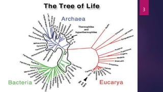 Classification of microorganisms | PPTX