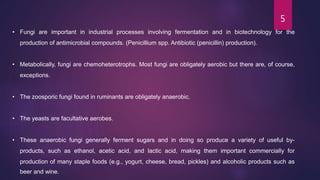 Classification of microorganisms | PPTX