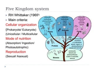 Classification of microorganisms | PPTX