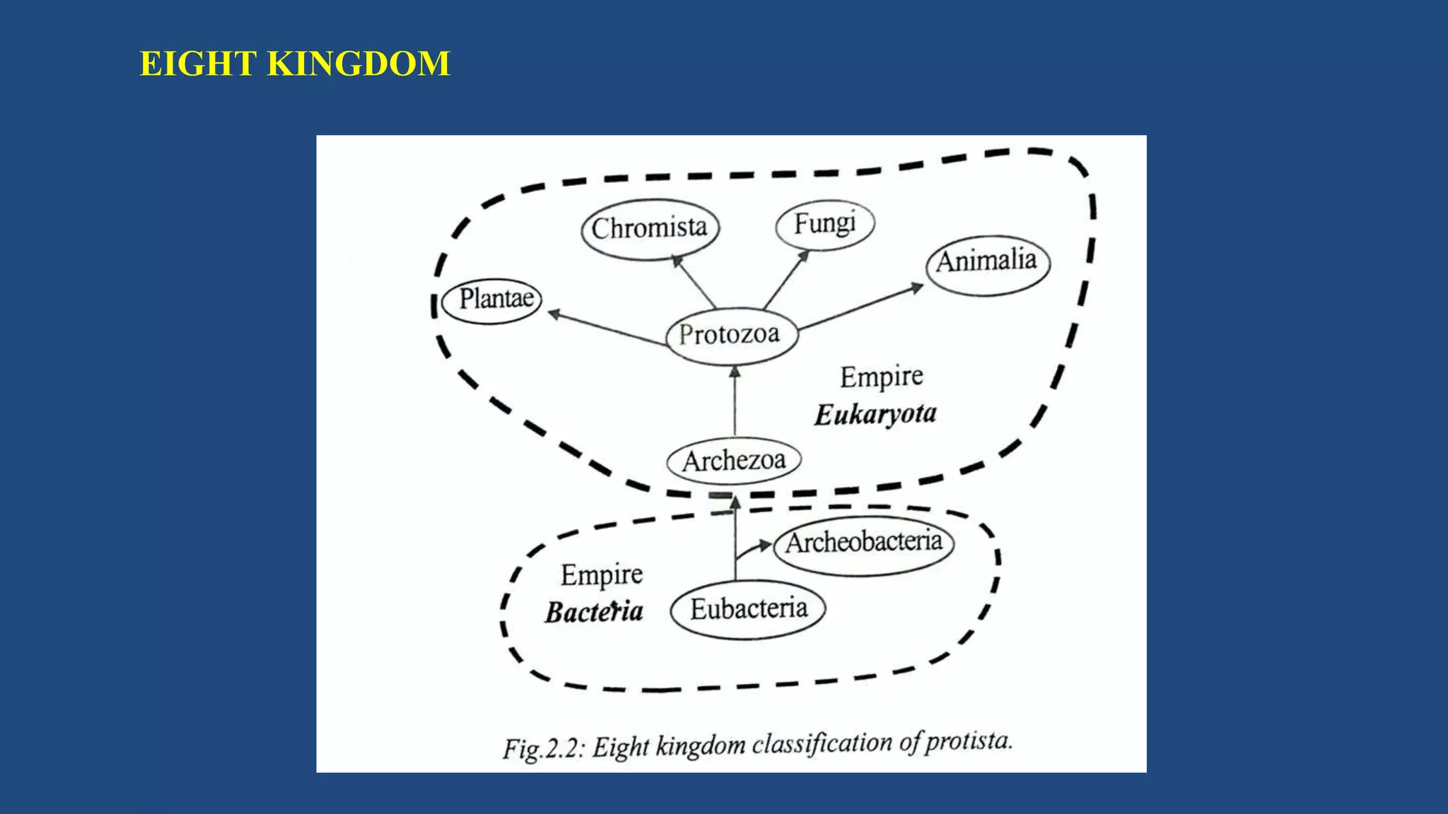 Classification Of Microorganisms Pptx