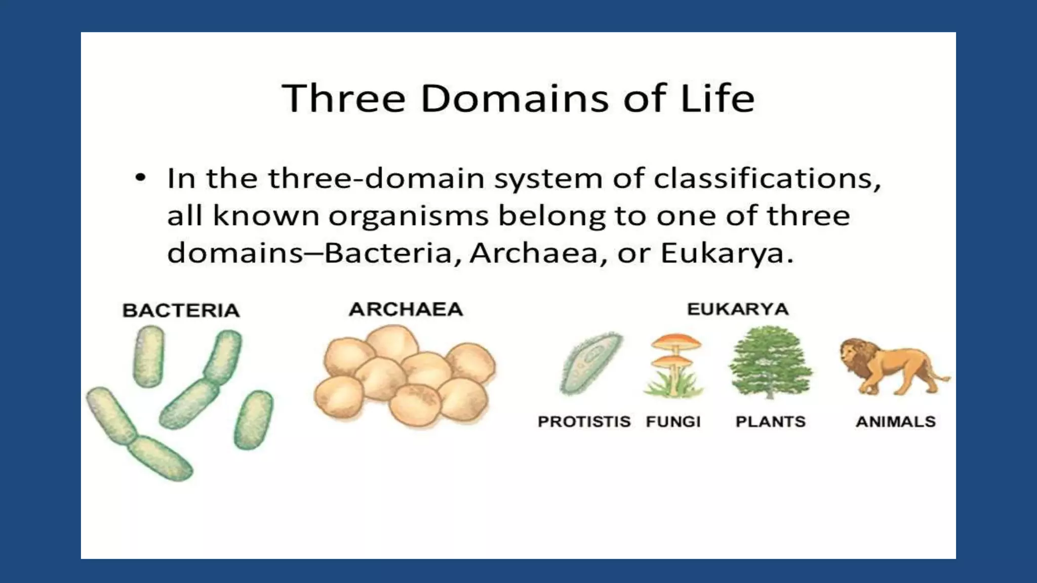 Classification of microorganisms | PPTX
