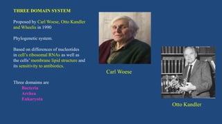 Classification of microorganisms | PPTX