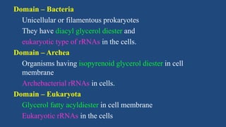 Classification of microorganisms | PPTX