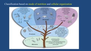 Classification of microorganisms | PPTX