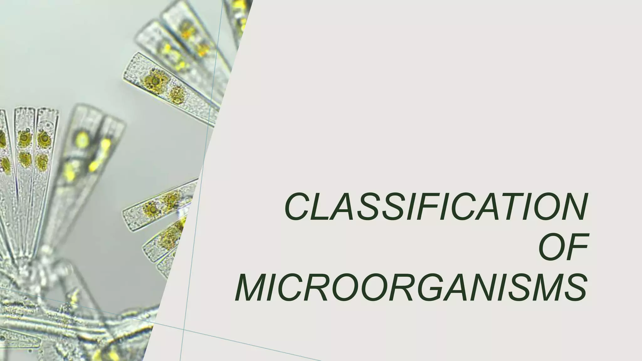 Classification of microorganisms | PPTX