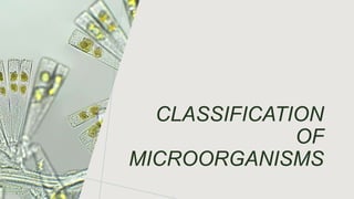 Classification of microorganisms | PPTX
