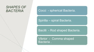 Classification of microorganisms | PPTX