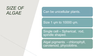Classification of microorganisms | PPTX