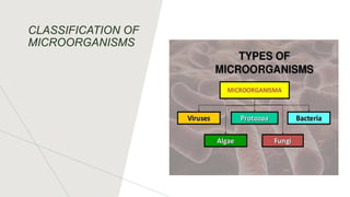 Classification of microorganisms | PPTX