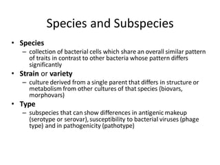 UNIT I-CLASSIFICATION OF MICROORGANISMS. | PPT