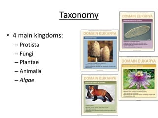 UNIT I-CLASSIFICATION OF MICROORGANISMS. | PDF