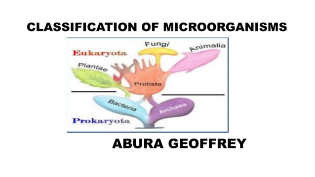 LECTURE NOTE ON CLASSIFICATION OF MICROORGANISMS.pptx