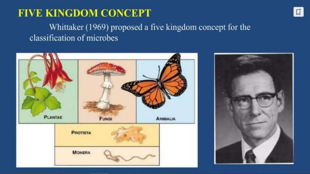 Lecture Note On Classification Of Microorganisms Pptx