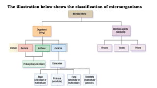 LECTURE NOTE ON CLASSIFICATION OF MICROORGANISMS.pptx | Biological Sciences | Science