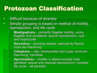 Classification of Microorganisms/ different types | PPT