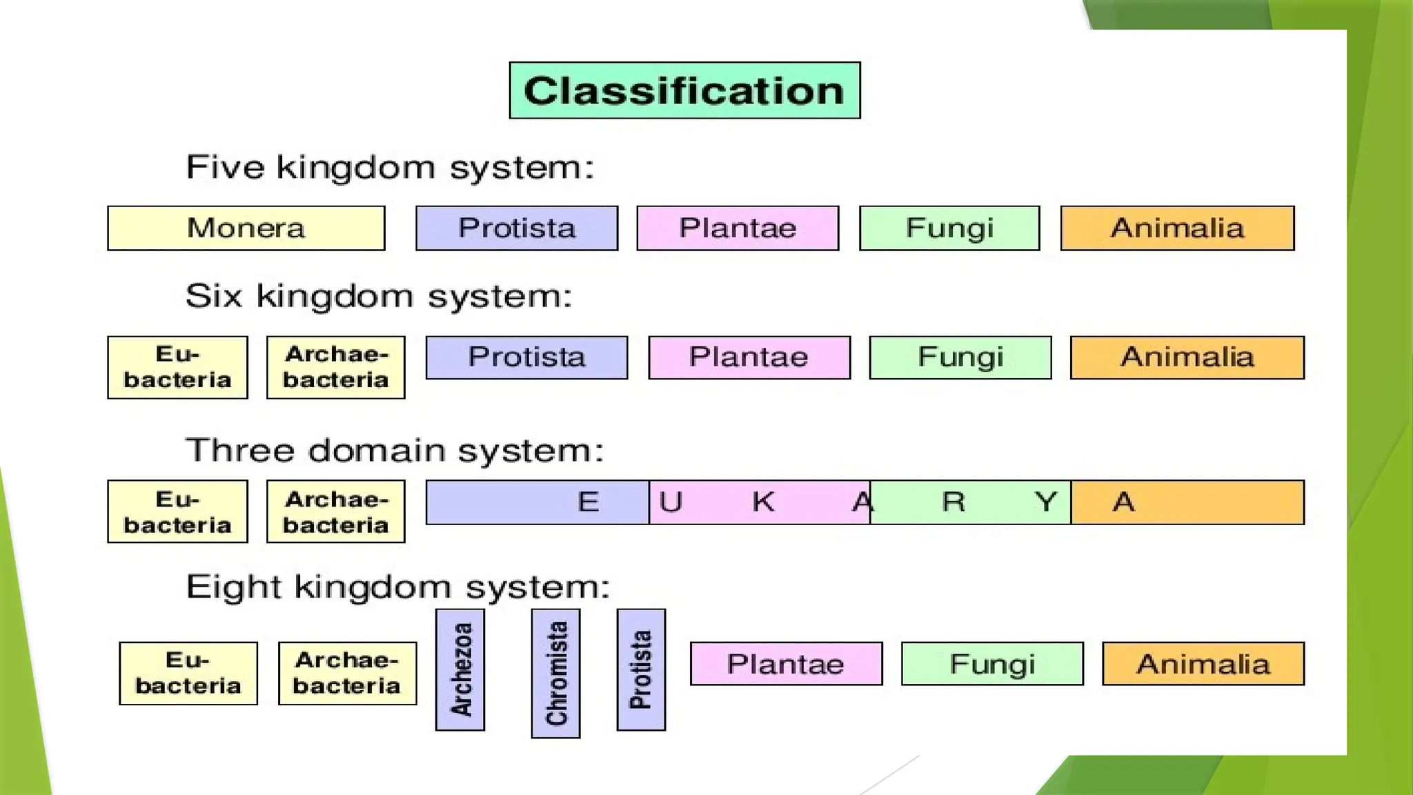 classification of microorganisms by spoorthi s sadar.pptx