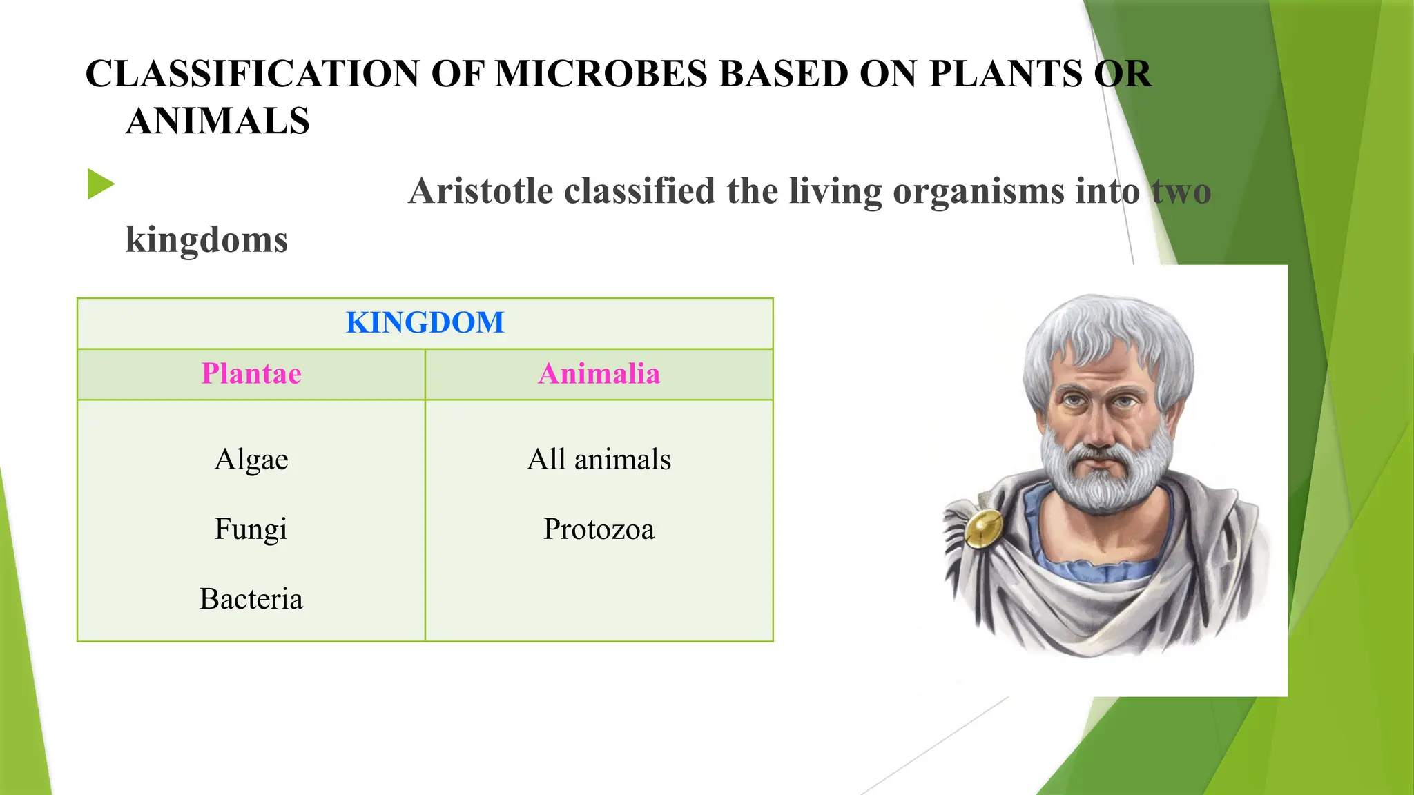 classification of microorganisms by spoorthi s sadar.pptx