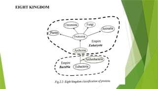 classification of microorganisms by spoorthi s sadar.pptx