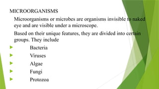classification of microorganisms by spoorthi s sadar.pptx