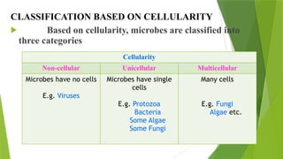 classification of microorganisms by spoorthi s sadar.pptx