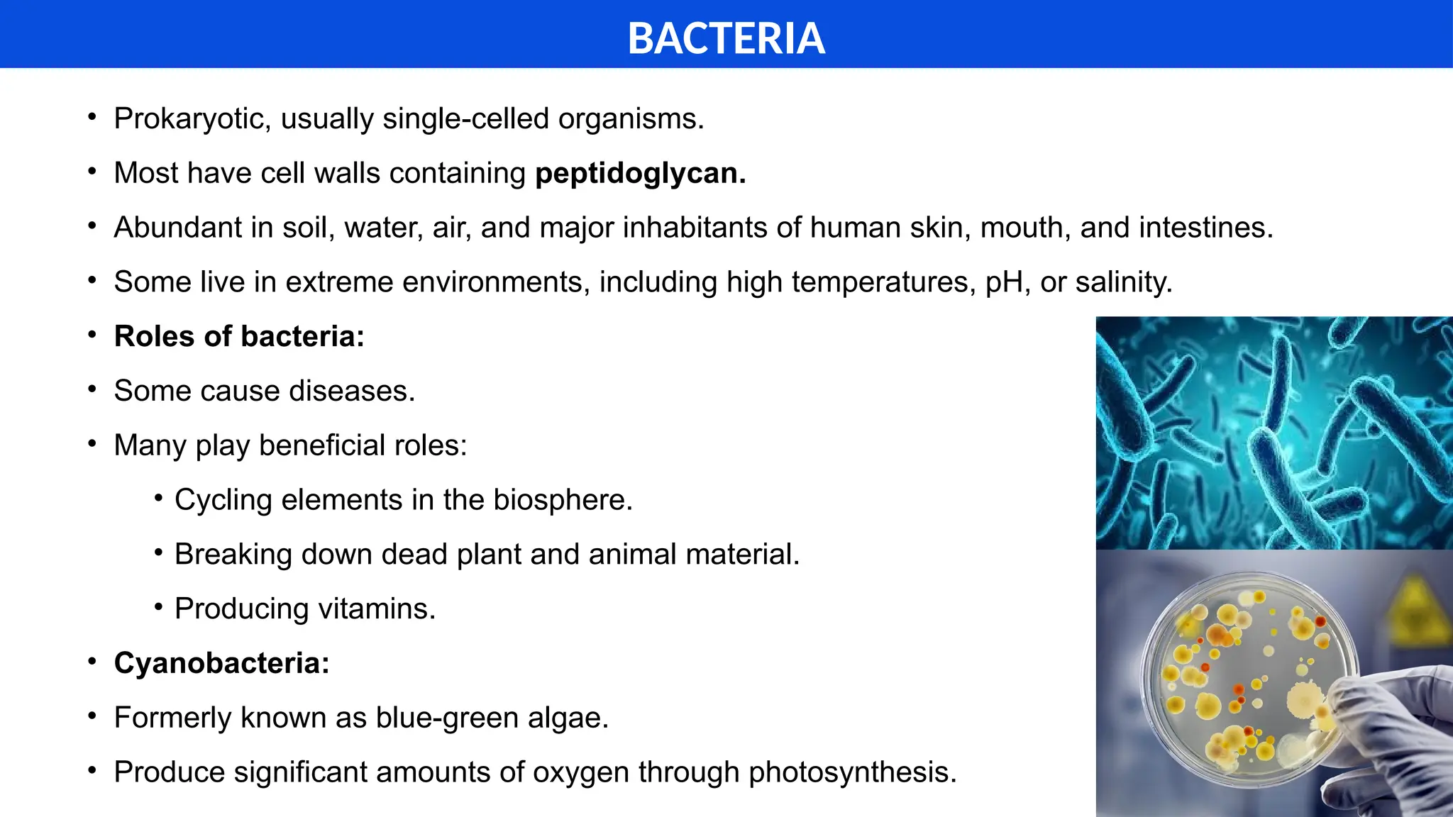 classification of micro organisms in microbiology.pptx