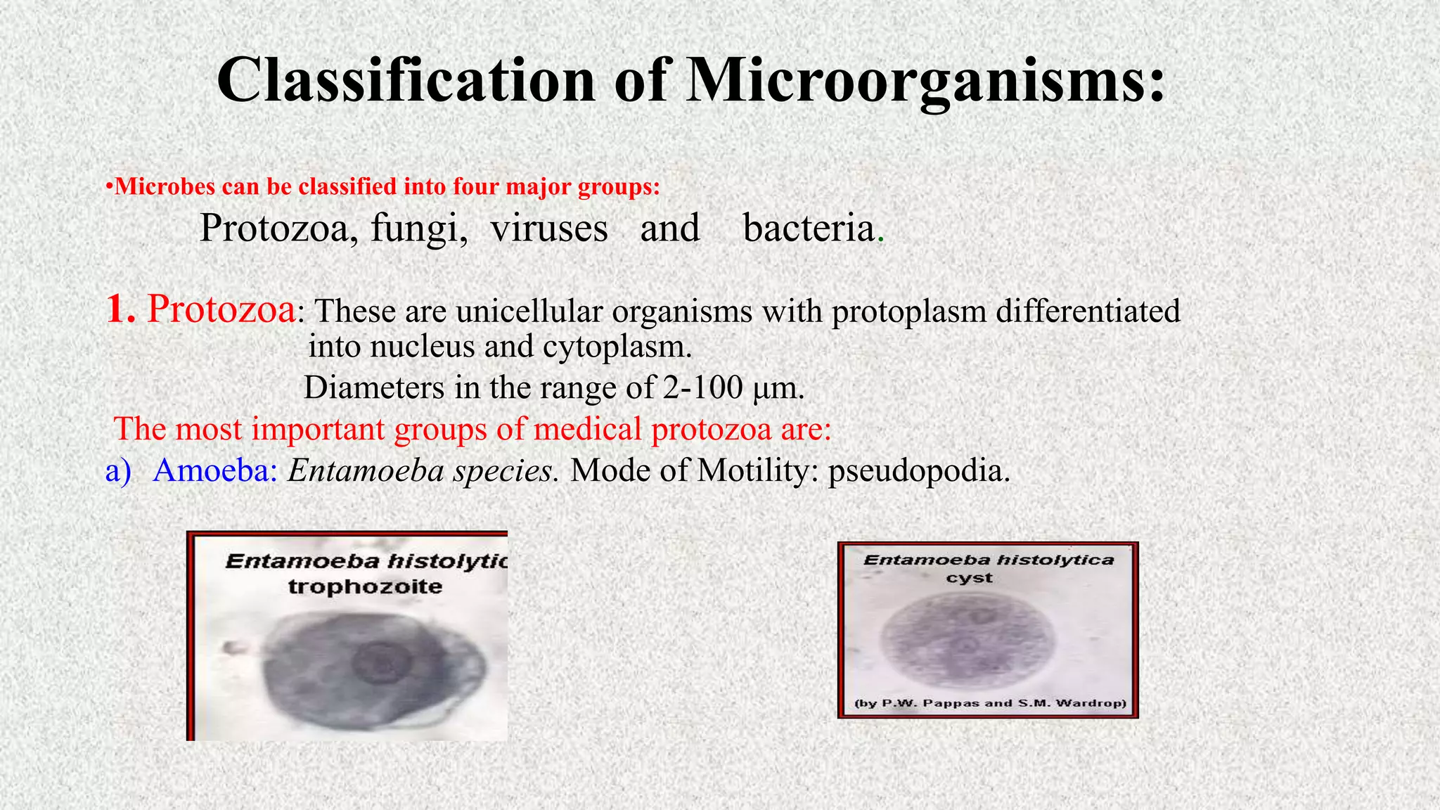 Classification of Microorganisms 2019.pptx