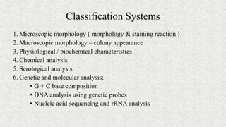 Classification of Microorganisms 2019.pptx