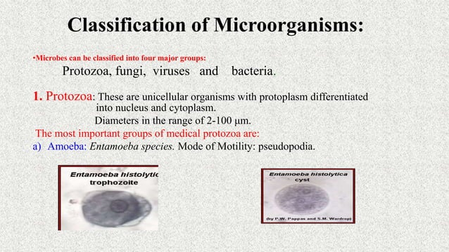 Classification of Microorganisms 2019.pptx