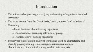Classification of Microorganisms 2019.pptx