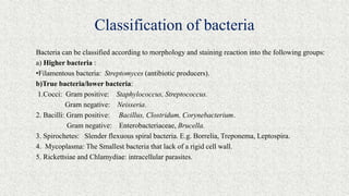 Classification of Microorganisms 2019.pptx