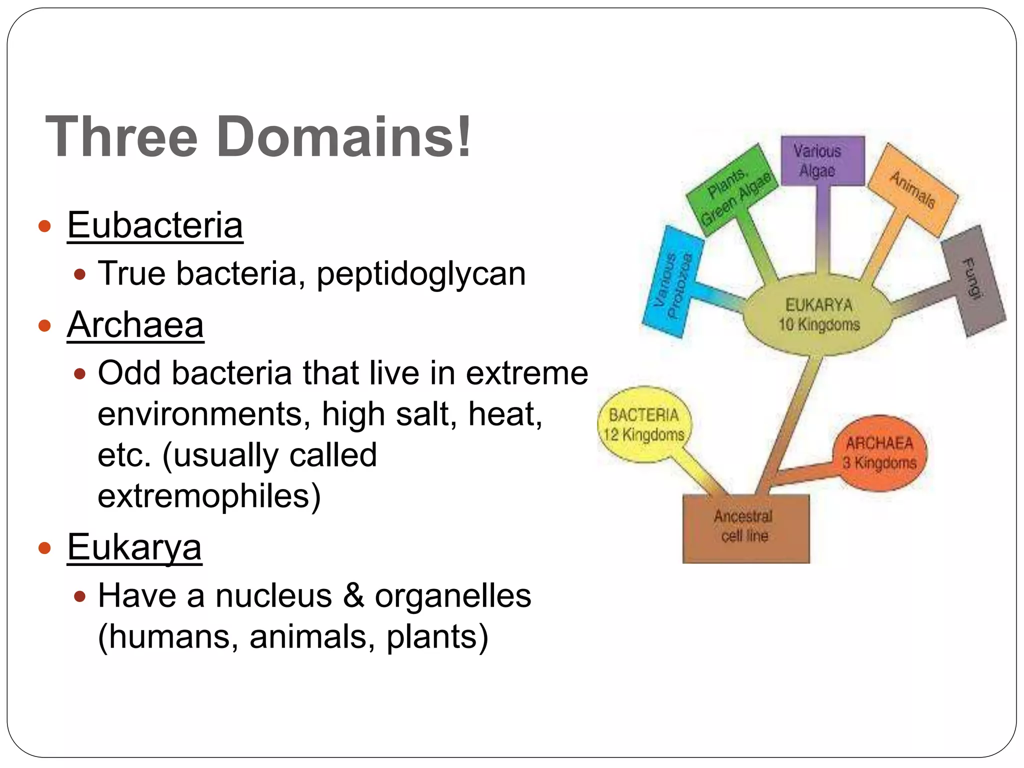 Classification Of Microorganisms Pptx