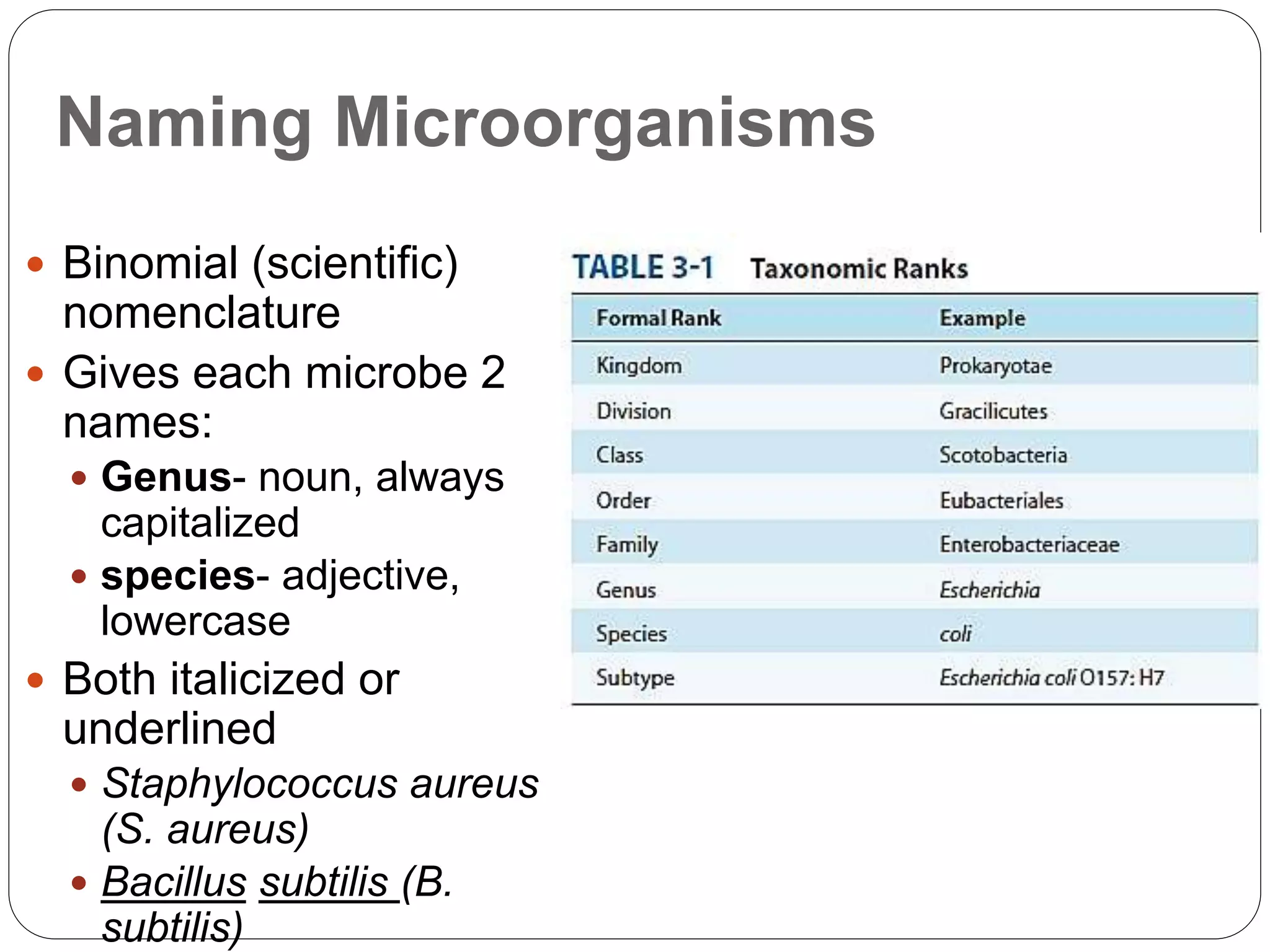 Classification Of Microorganisms Pptx