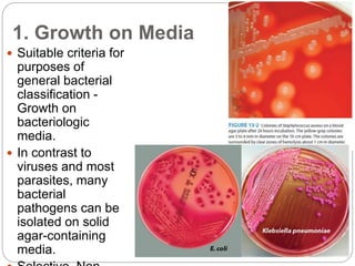 Classification of microorganisms | PPTX