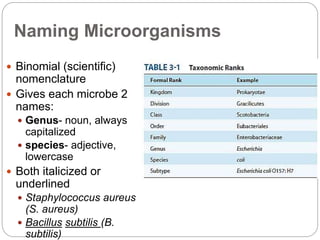 Classification of microorganisms | PPTX