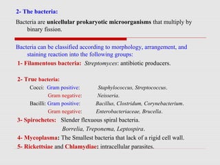 Classification of microorganisms lecture 2 | PPT | Biological Sciences ...