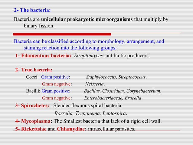 Classification of microorganisms lecture 2 | PPT | Biological Sciences | Science