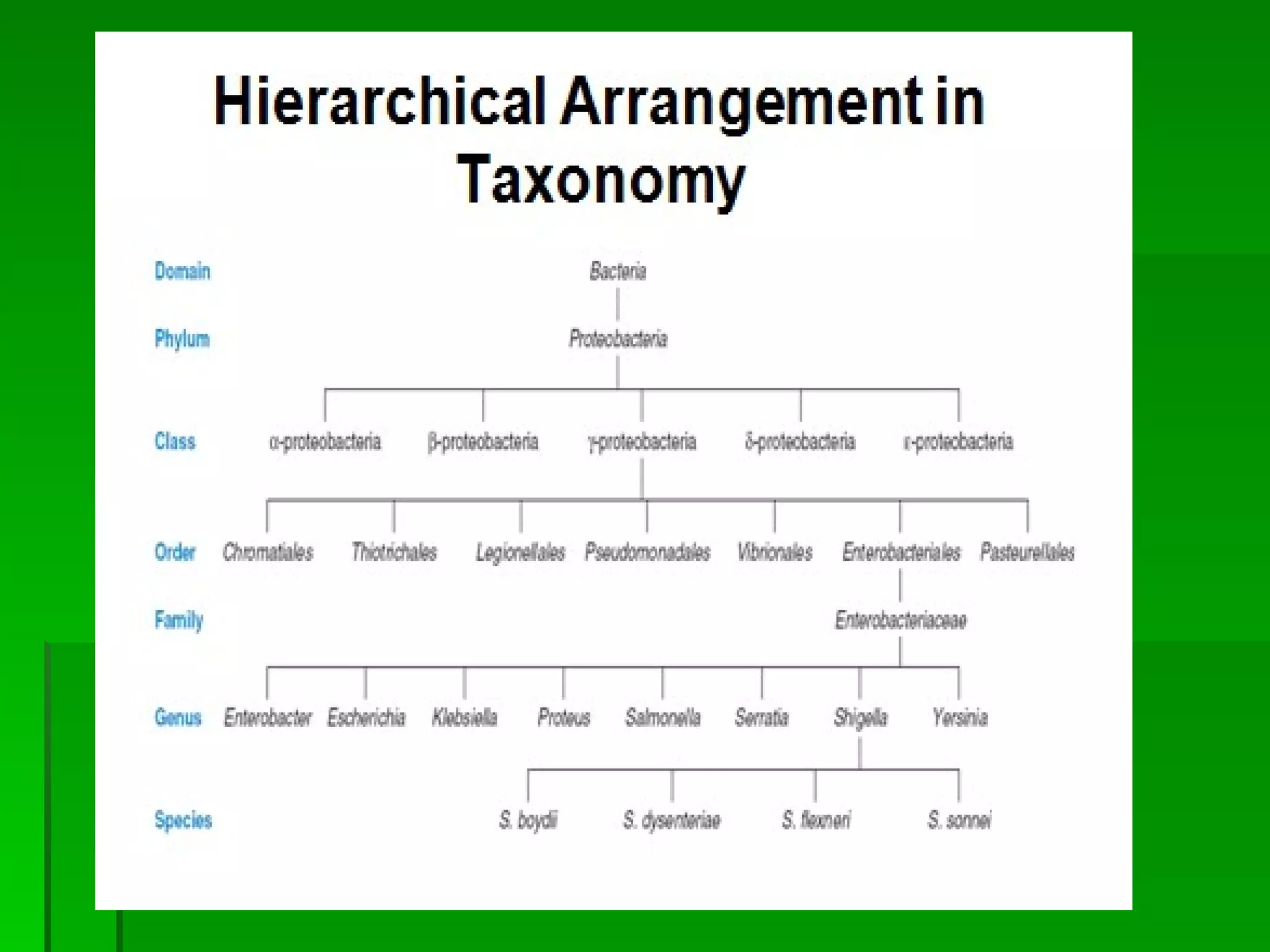 Classification of microorganisms lecture note by rm patel | PPT