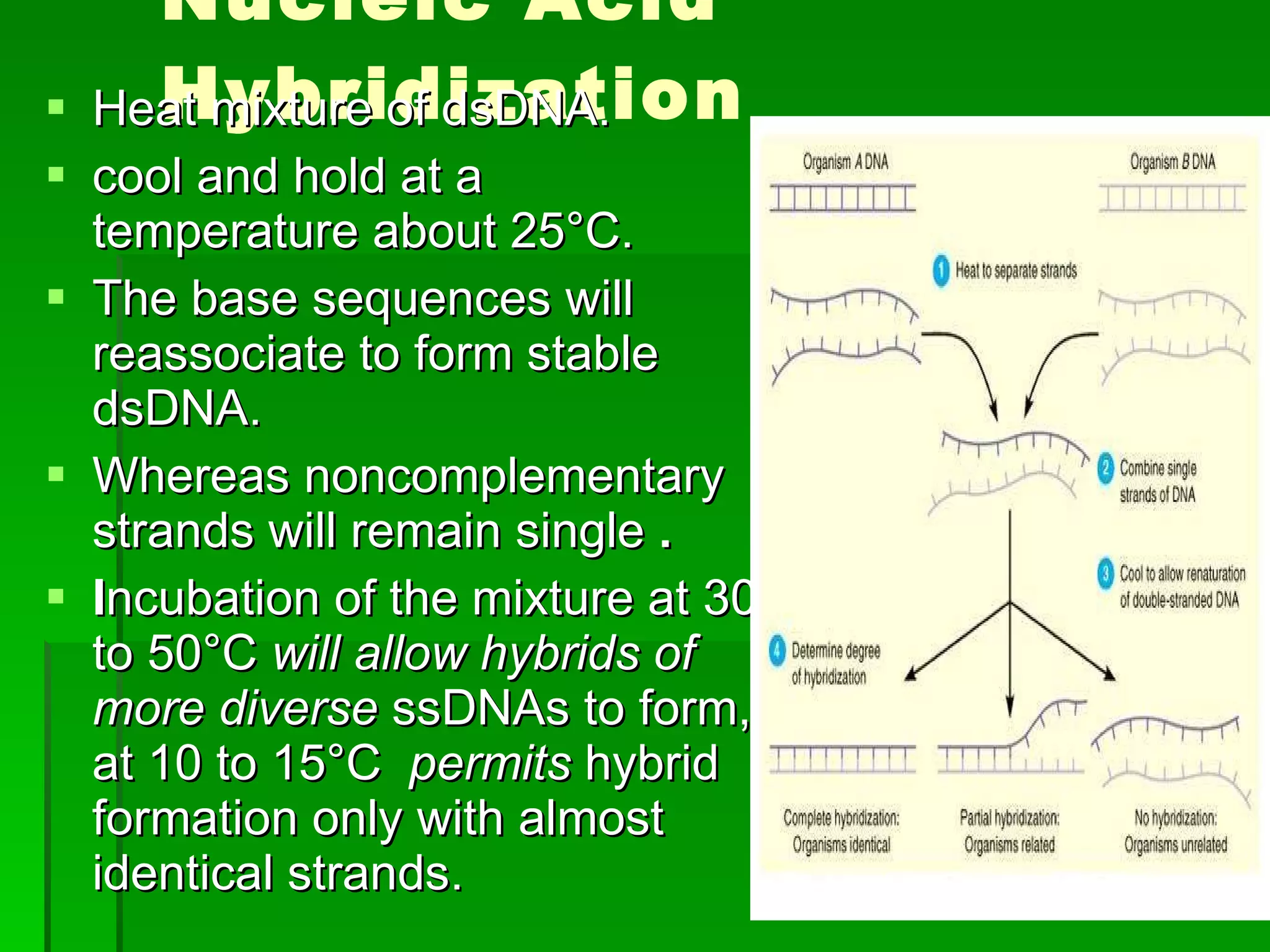 Classification of microorganisms lecture note by rm patel | PPT