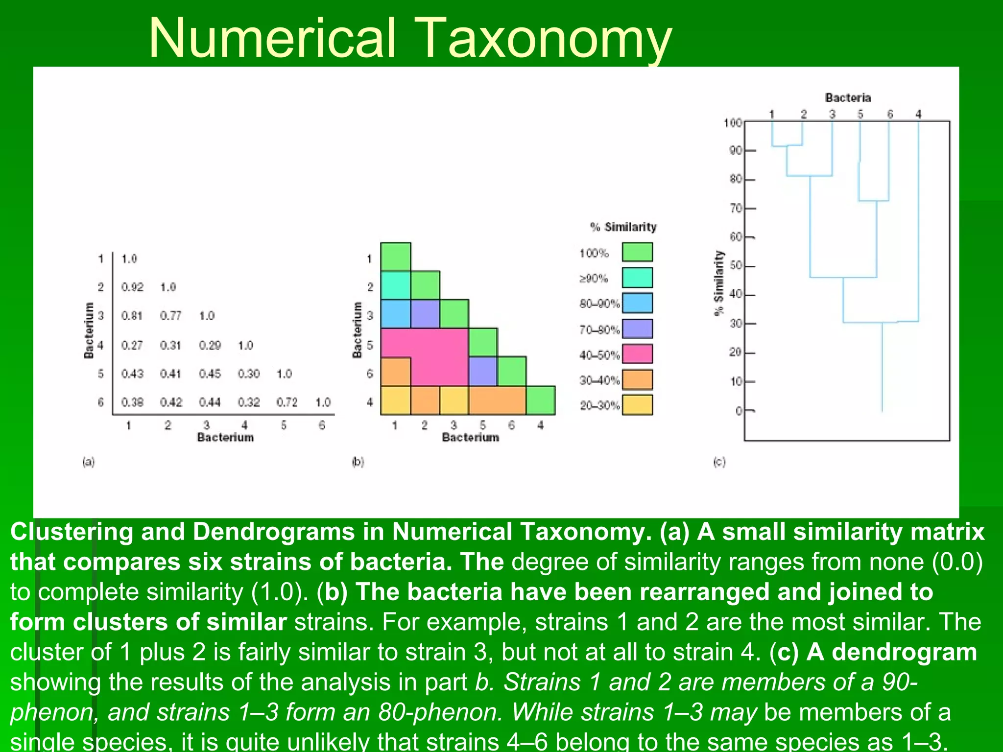 Classification of microorganisms lecture note by rm patel | PPT