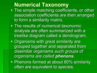 Classification of microorganisms lecture note by rm patel | PPT