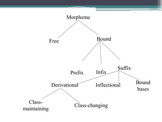 Classification of morphemes | PPT