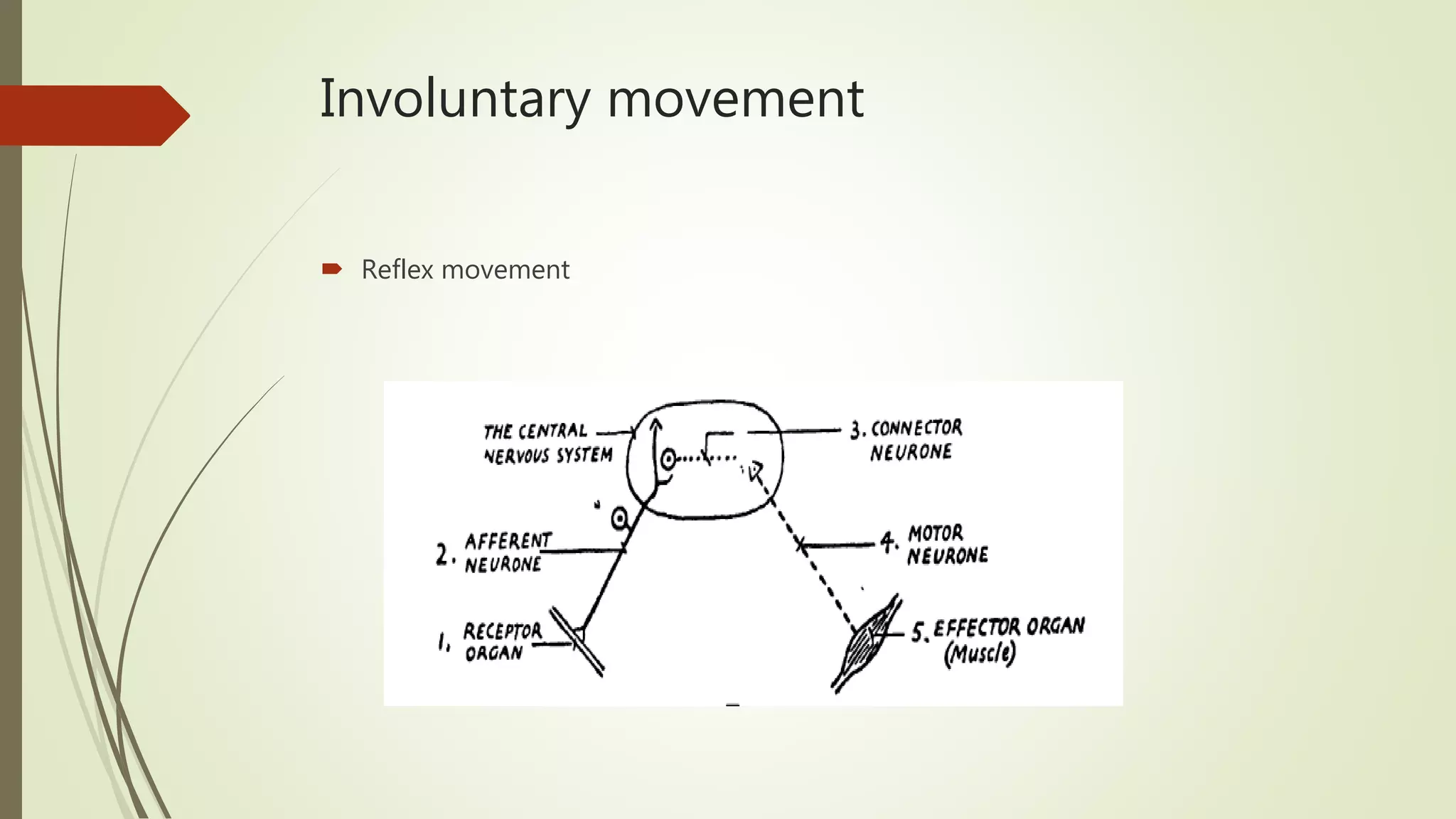 Classification of movements | PPTX