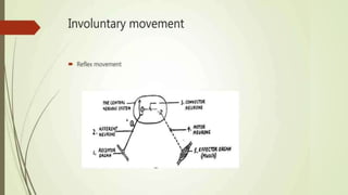 classification of movment.pptx