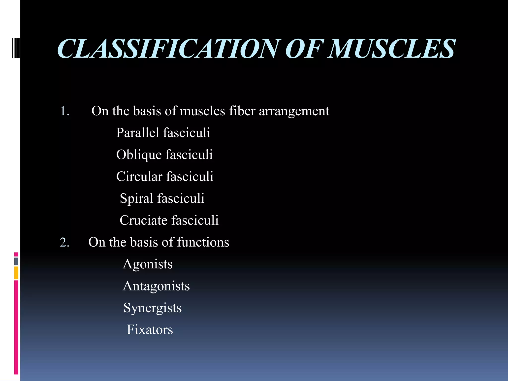 Classification Of Muscle Ppt