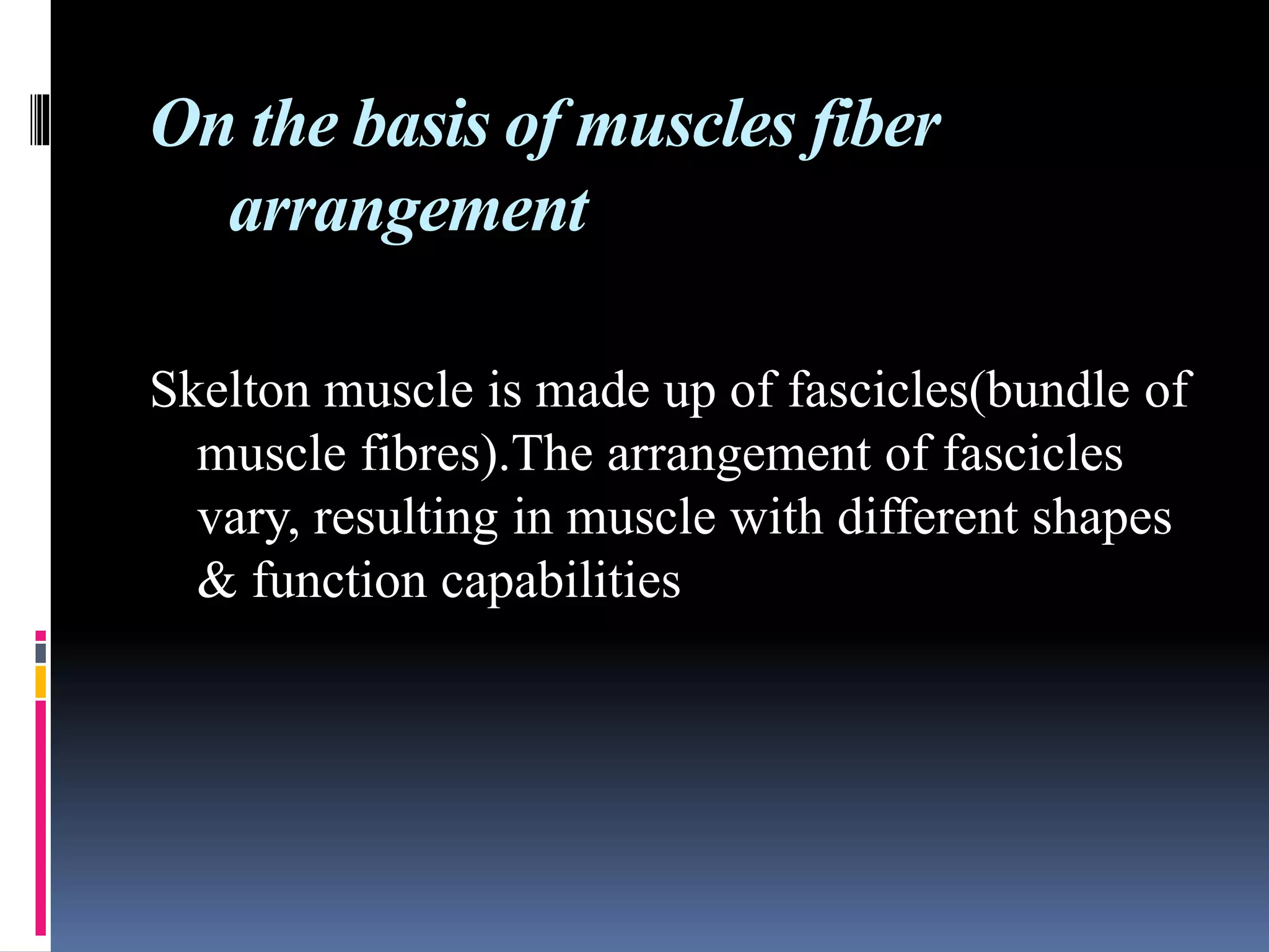 Classification of muscle | PPTX