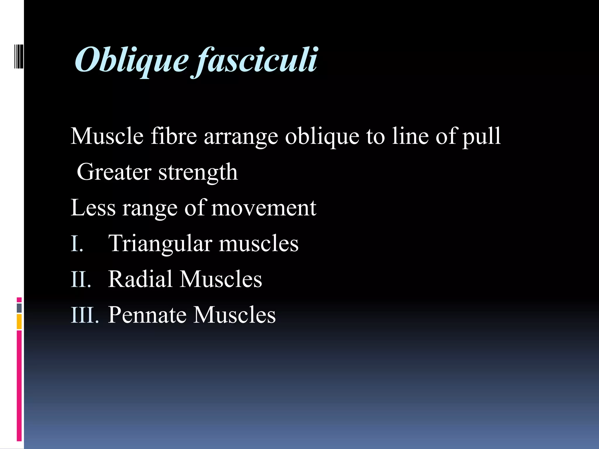 Classification of muscle | PPTX