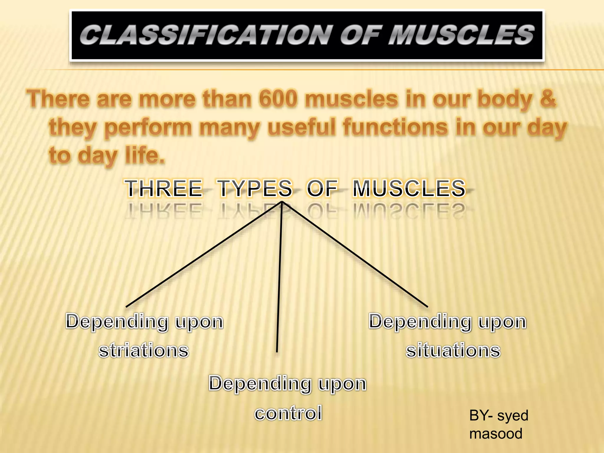 Classification of Muscles.pptx