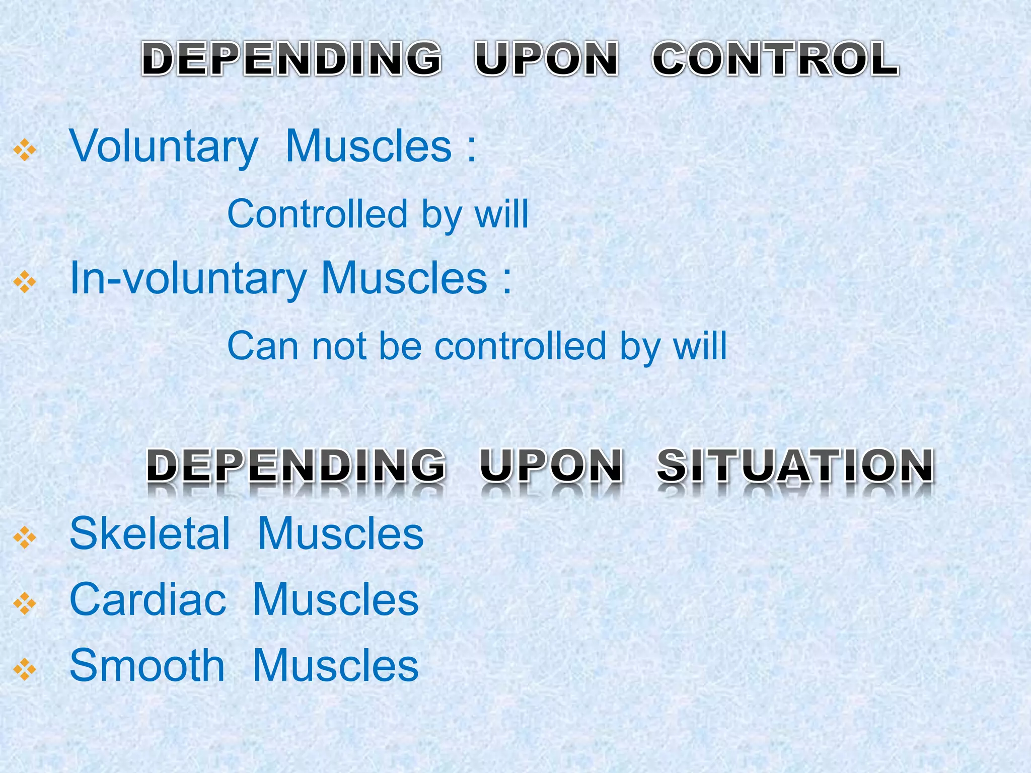 Classification of Muscles.pptx